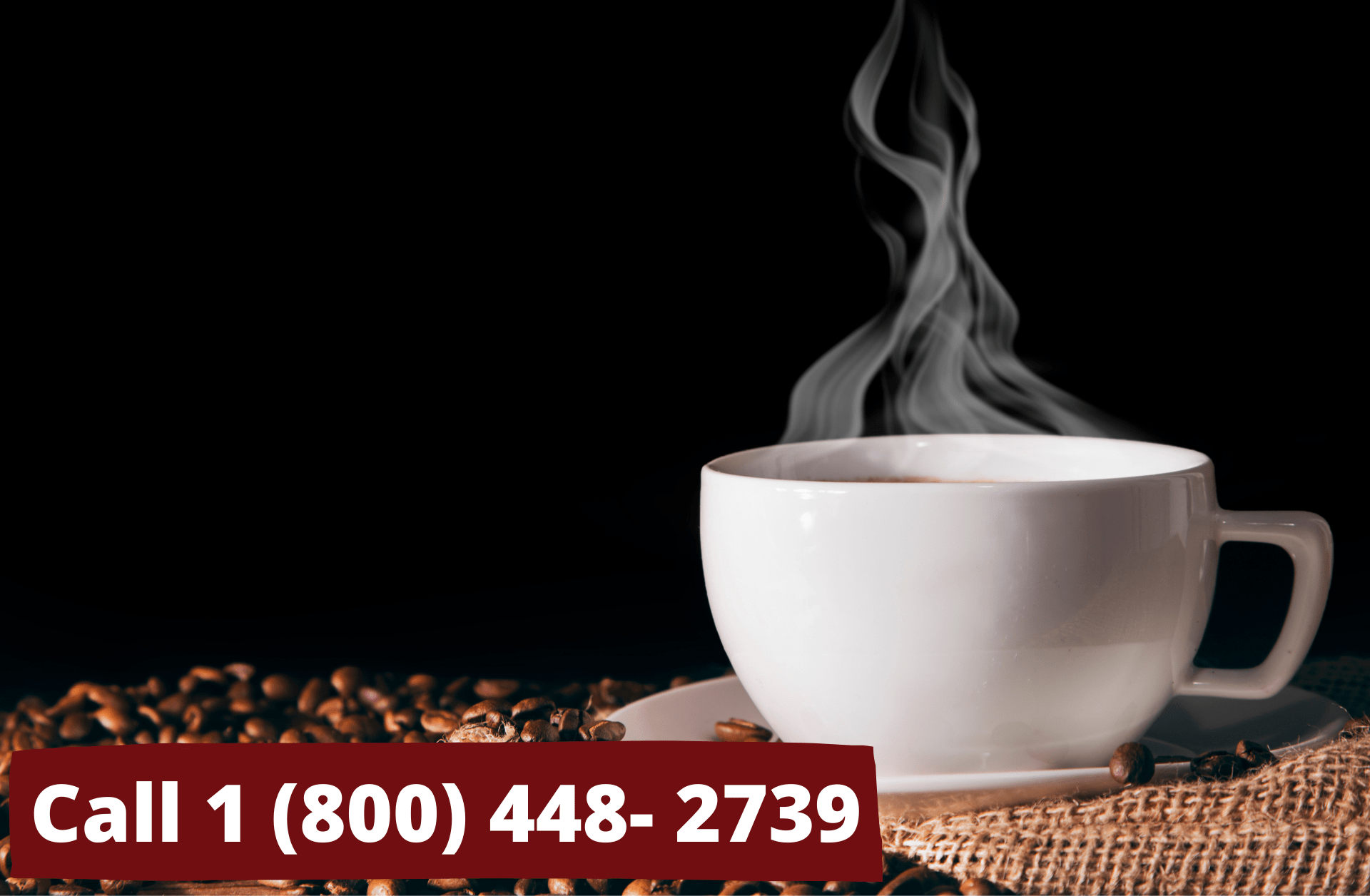 Get Advice on Choosing Your Office Coffee: Cold Brew, Espresso & More